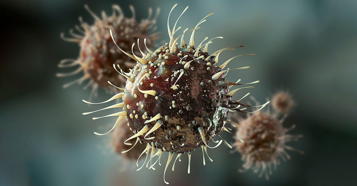 Harnessing the Power of Oncolytic Viruses in the Fight Against Cancer