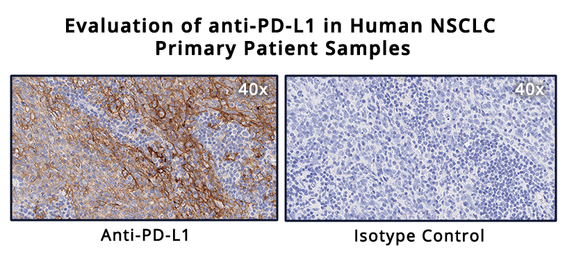 Leveraging IHC as a powerful clinical tool for IO therapies