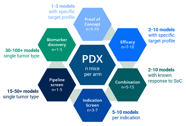 Ultimate Guide: Designing a Mouse Clinical Trial & Data Analysis