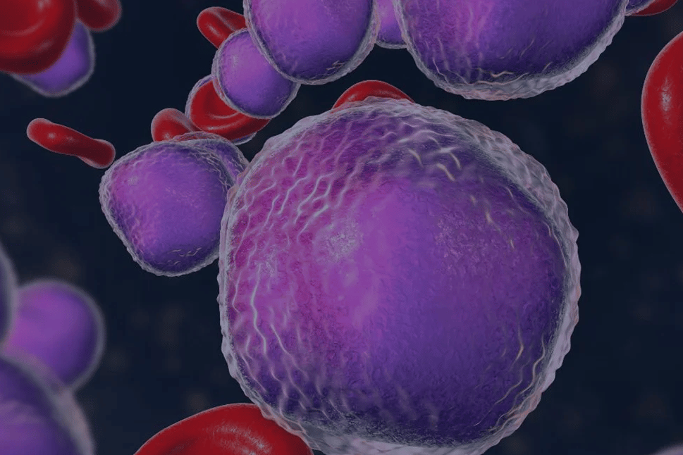 Development of Innovative Therapies Utilizing Preclinical CLL Models
